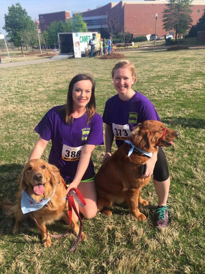 Dog Days of Birmingham | Gallery